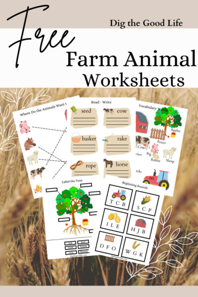 Free Farm Animals Worksheets for Kids - Dig the Good Life